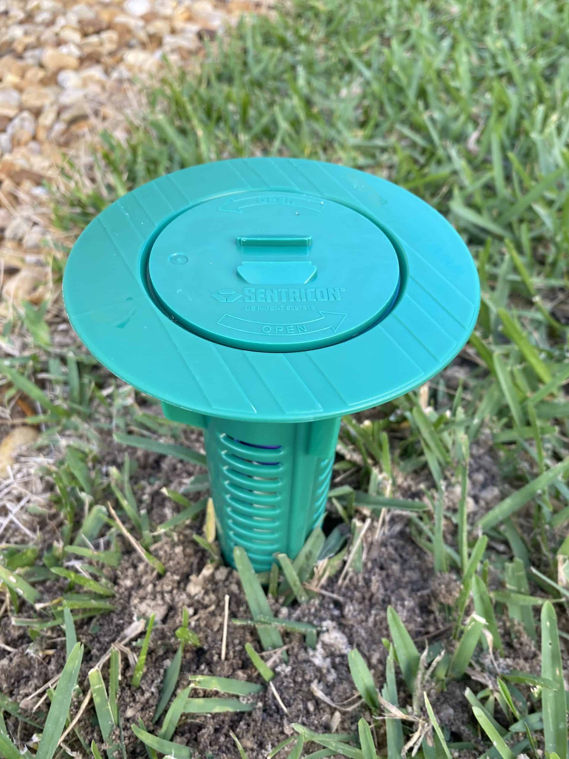 Sentricon Best Solutions to Protect your Homes from Termites