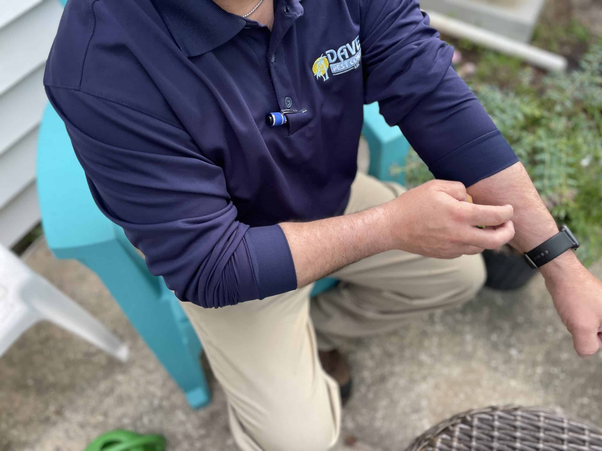 What's Biting Me? A deeper look into understanding Mosquitoes and No ...