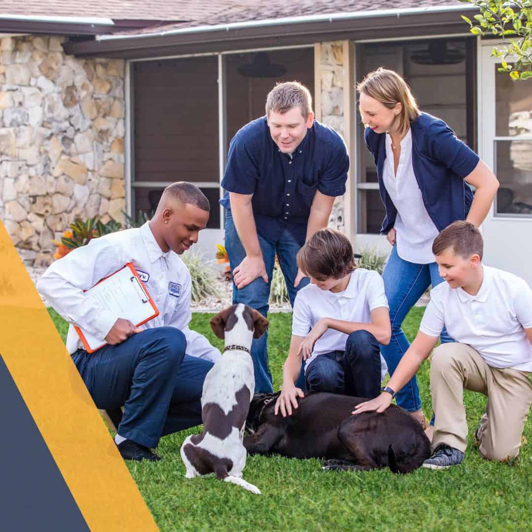 Daytona Pest Control - Get Rid Of Unwelcome Pests | Dave’s Pest Control