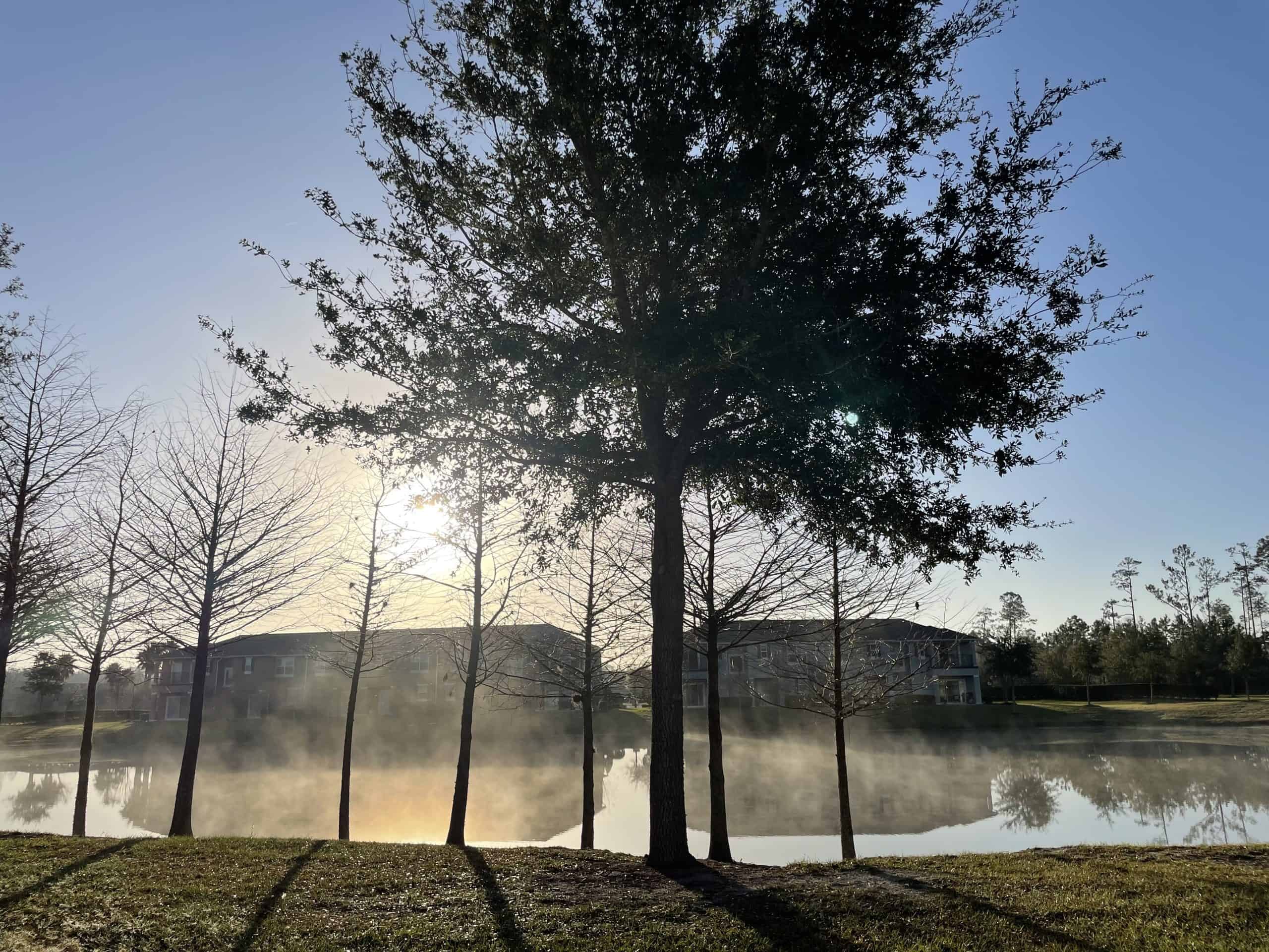 Thanksgiving - Dave's Pest Control